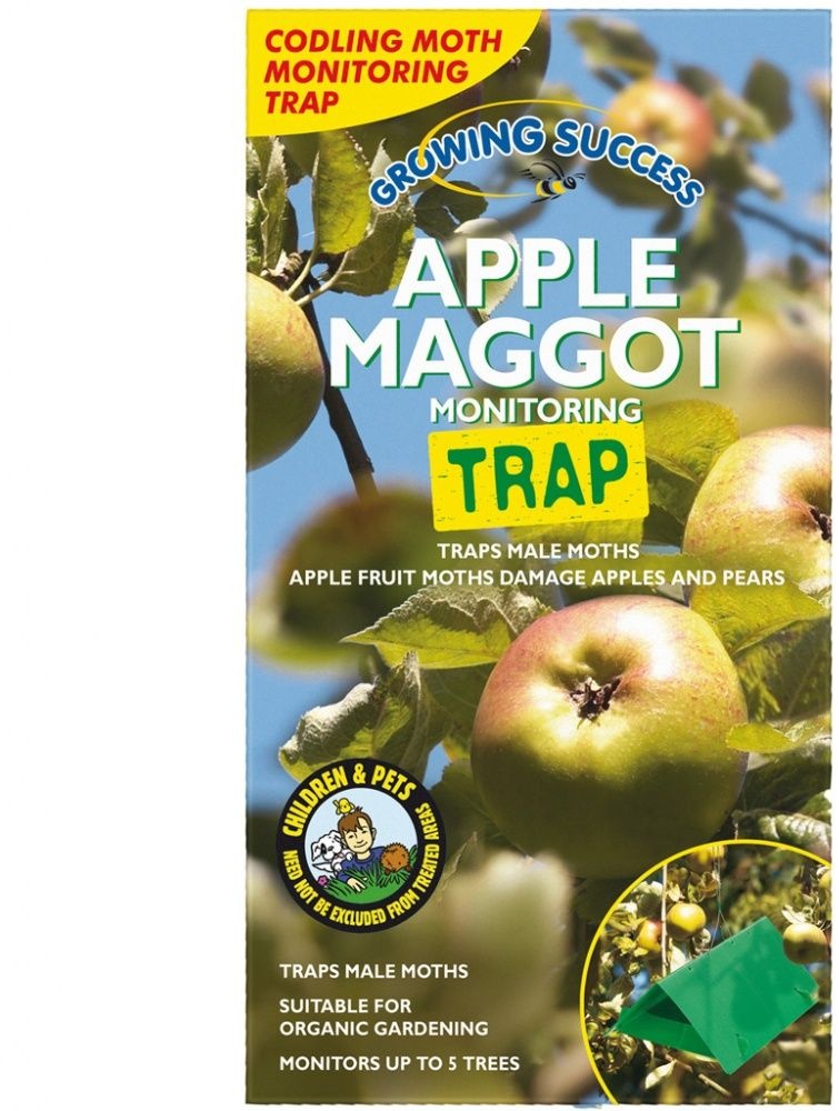 Growing Success Apple Maggot Monitoring Trap | Downtown