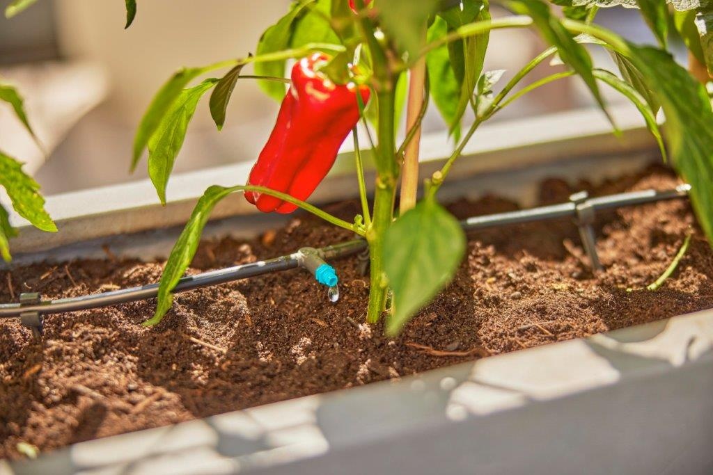 Gardena Start Set Micro-Drip-Irrigation Terrace Set (30 Plants) | Downtown