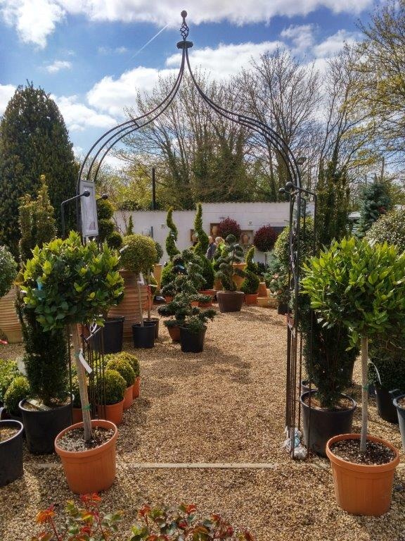 Poppy Forge Flower Arch Ogee | Downtown