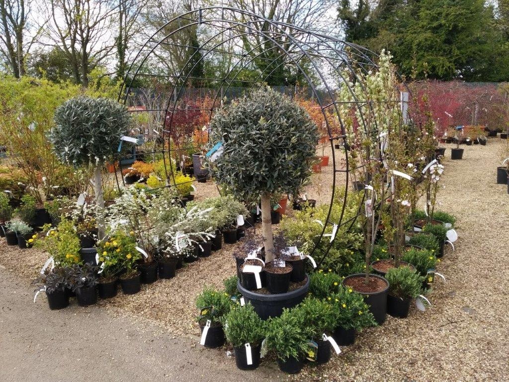 Poppy Forge Round Tunnel | Downtown