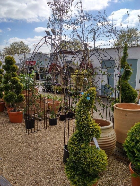 Poppy Forge Gothic Tunnel | Downtown