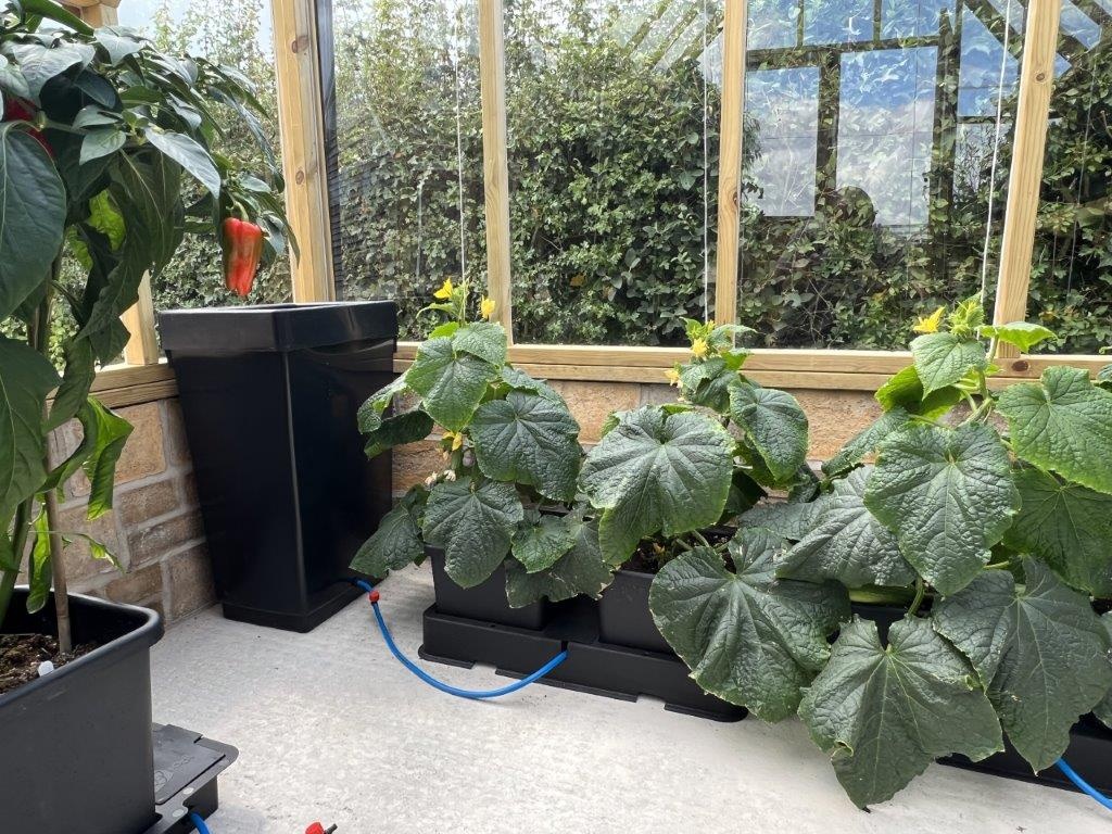 AutoPot Easy2Grow 2 Pot Plant Watering System | Downtown