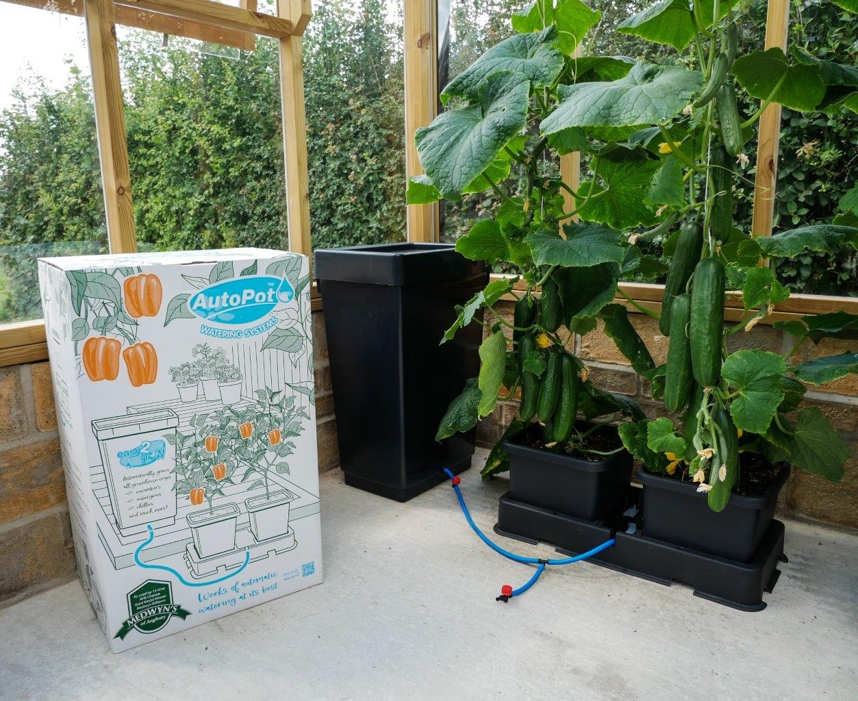 AutoPot Easy2Grow 2 Pot Plant Watering System | Downtown