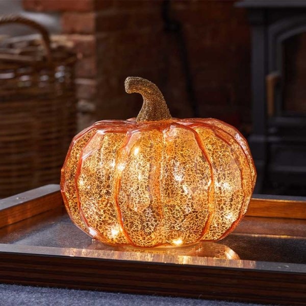 Smart Garden InLit Golden Pumpkin | Downtown