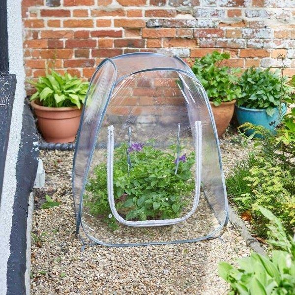 Smart Garden Pop-Up GroZone - 50cm x 50cm| Downtown