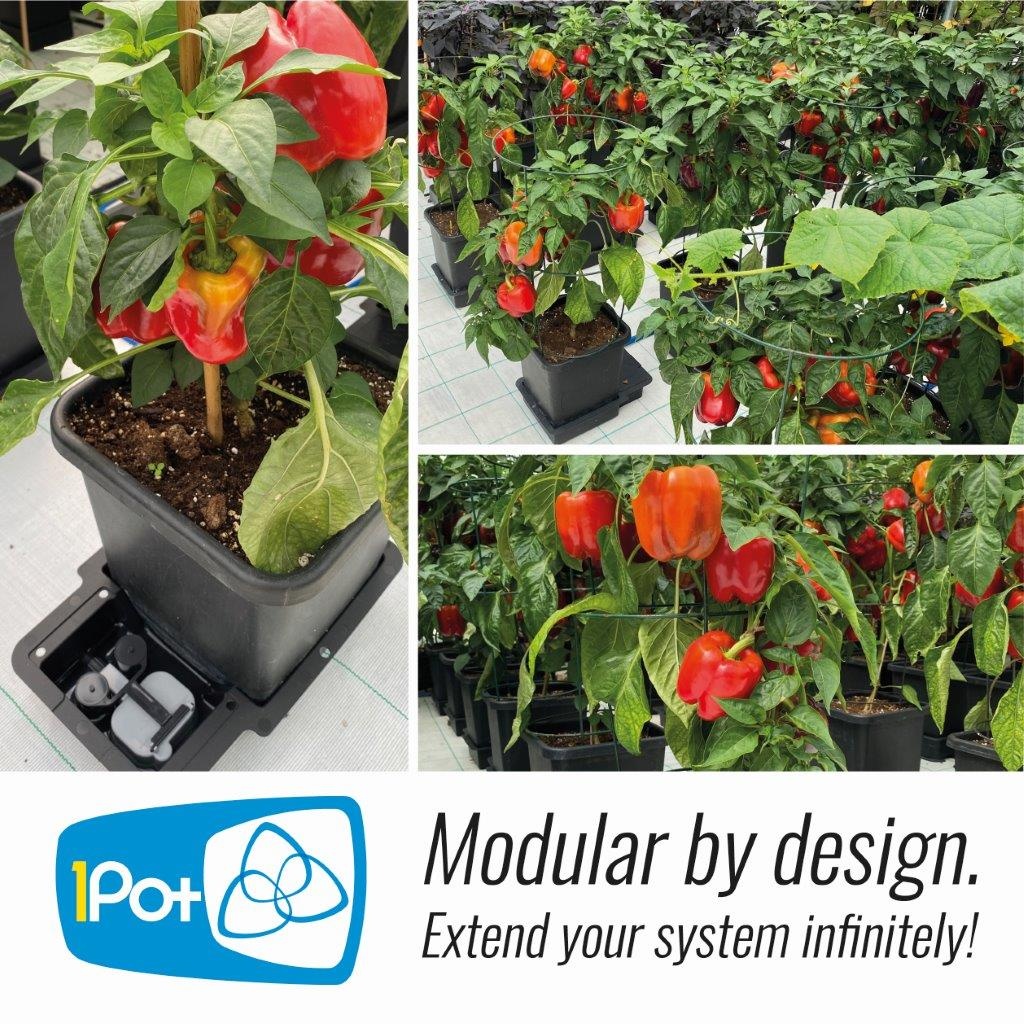 AutoPot 1Pot Self Watering Systems with AQUAvalve | Downtown