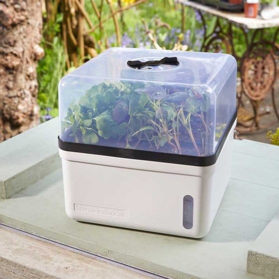 Smart Garden Perfect Propagator | Downtown