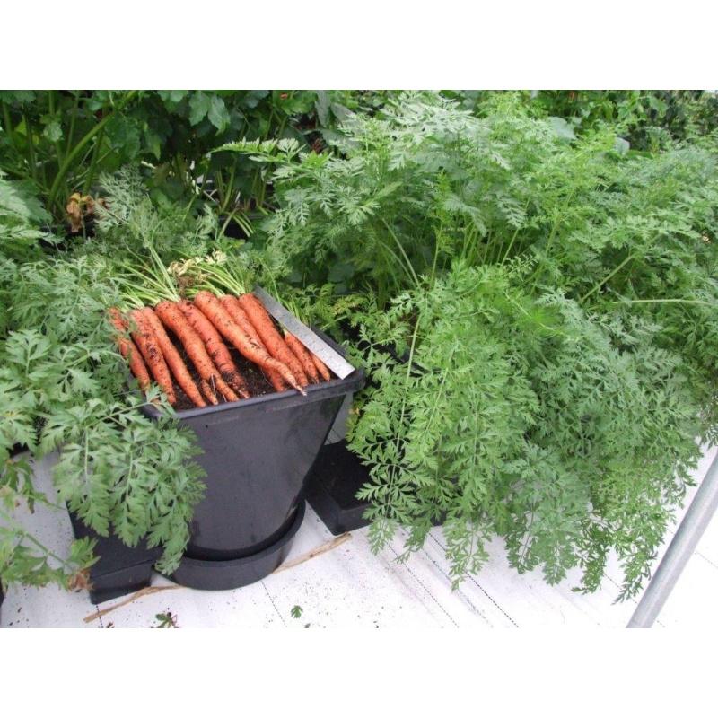 AutoPot 1Pot XL Self Watering Systems with AQUAvalve | Downtown